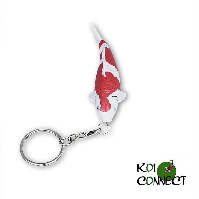 Koiconnect: bassin à koi et jardin aquatique